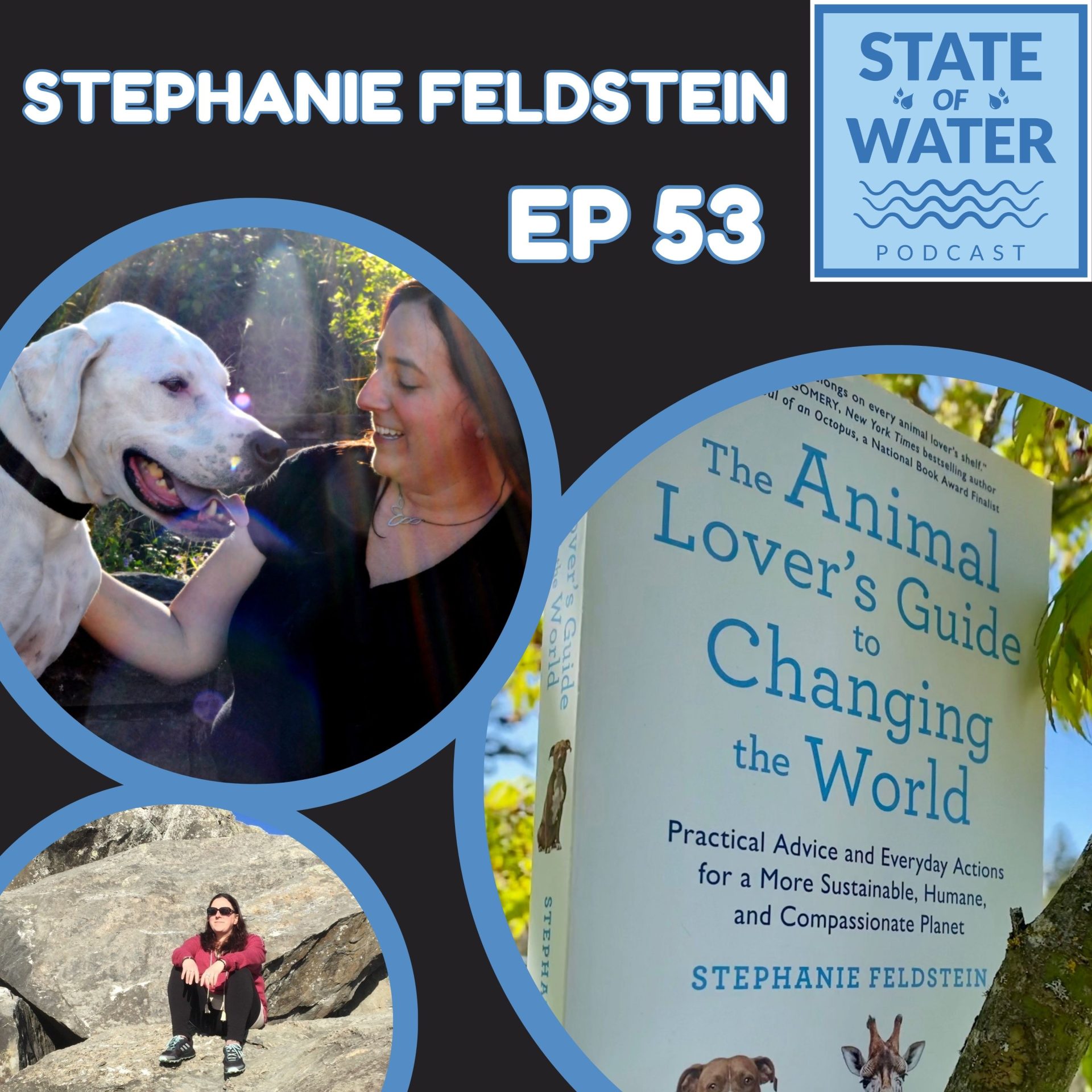 Episode 53 of State of Water - Title Track